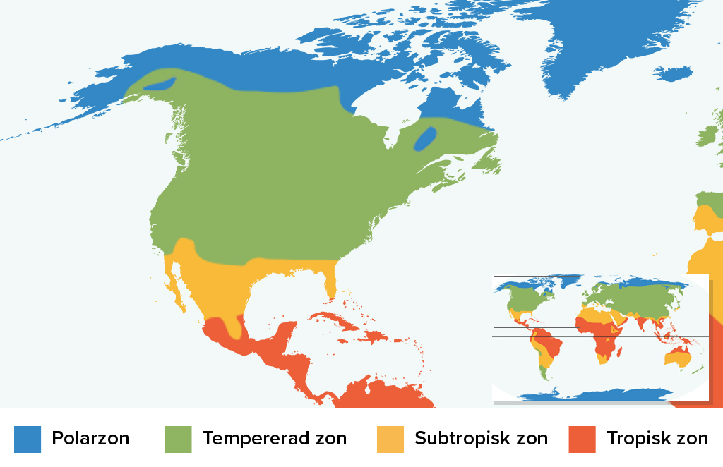 Nordamerika – läromedel till lektion i geografi åk 4,5,6