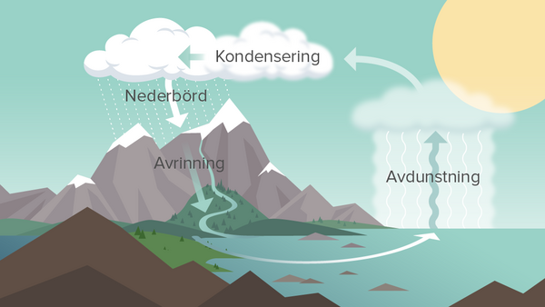 Vattnets kretsloppet – läromedel i geografi åk 4,5,6